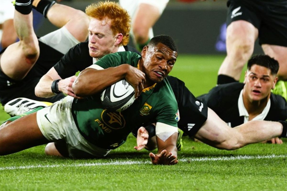 Springboks inflict biggest defeat ever on All Blacks – SportsAfrica ...